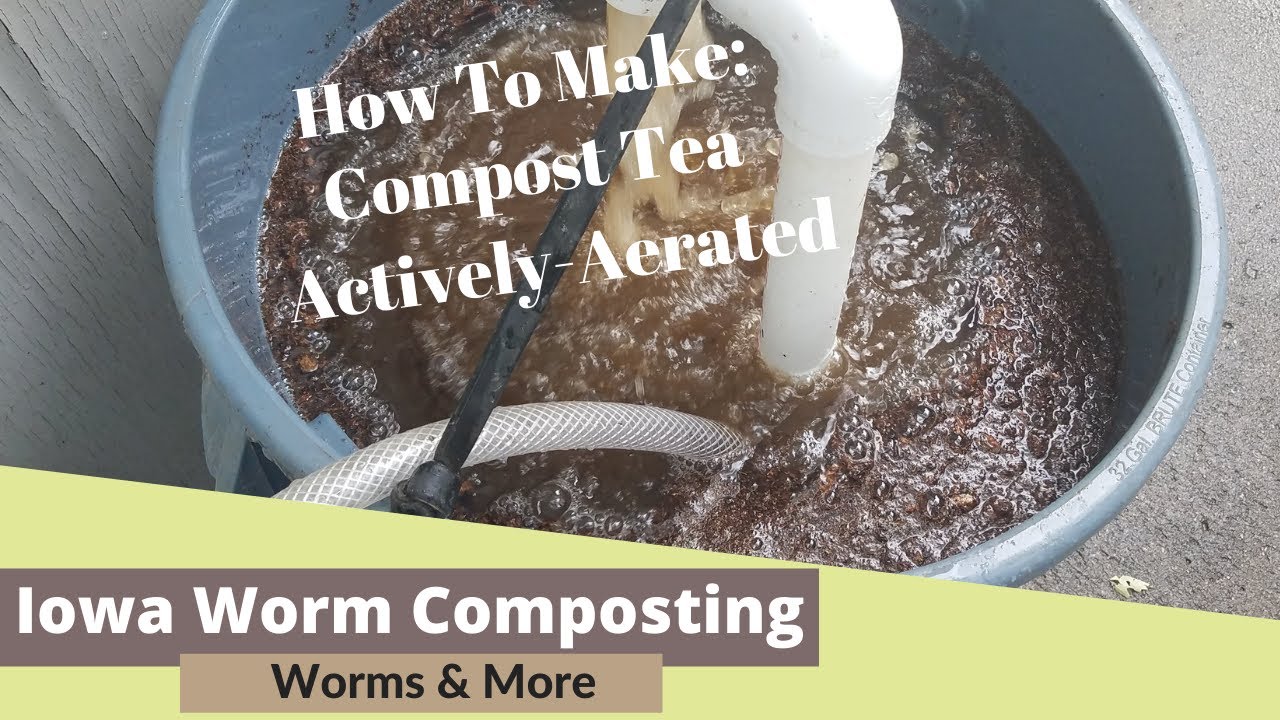 Compost Tea Actively Aerated Version - YouTube