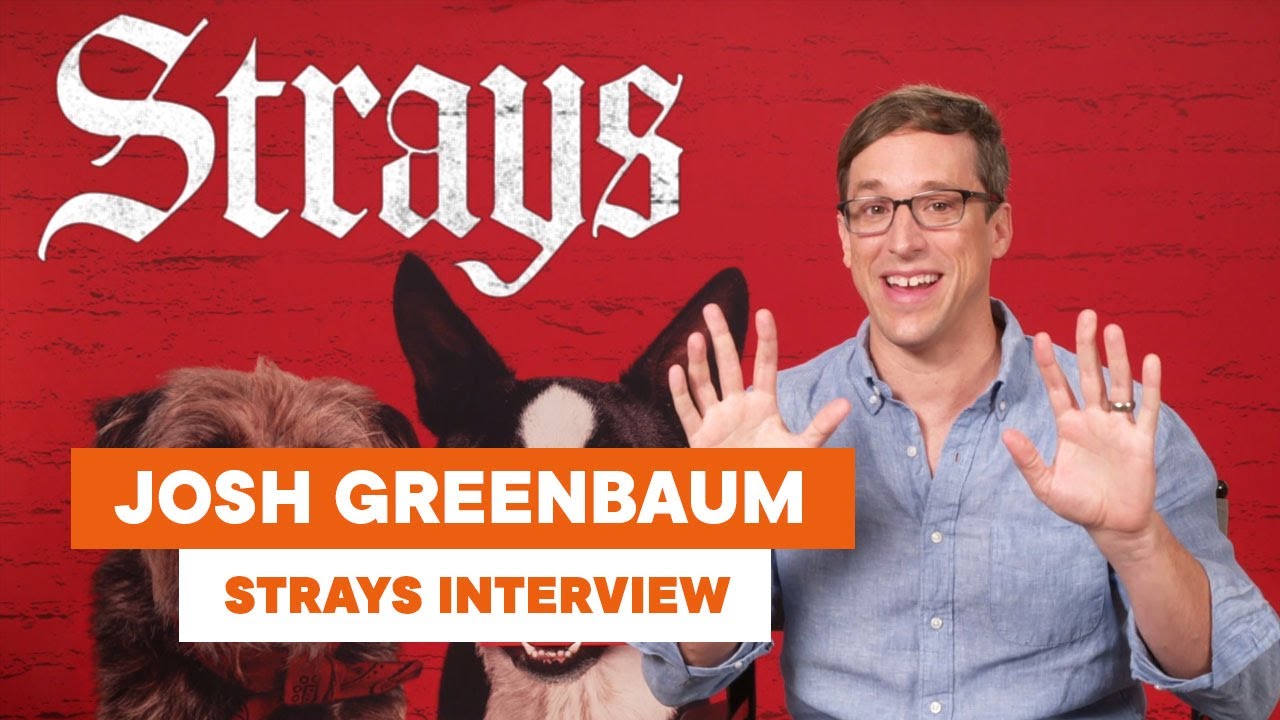 Josh Greenbaum on directing dogs in 'Strays', and why you probably won ...