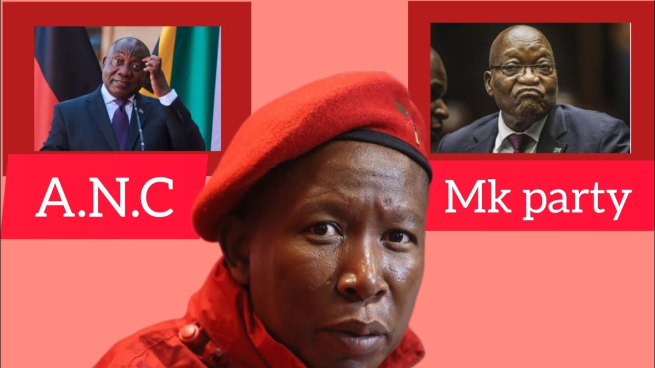 ANC and MK Party Members Captured Together During By-Elections - YouTube