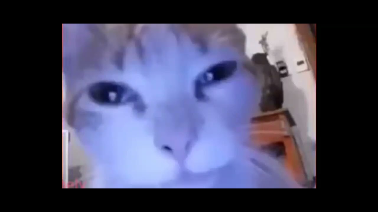 Los voy a matar *Ting* meme - YouTube