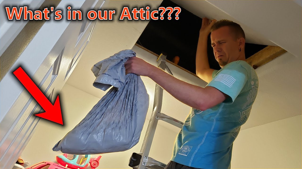 What's in Our Attic??? Horrid Smell Found!!! - YouTube