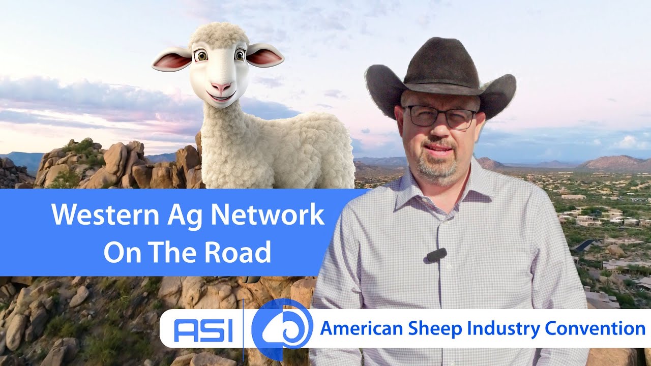 Insights on the Sheep Industry: A Conversation with ASI's Peter Orwick ...