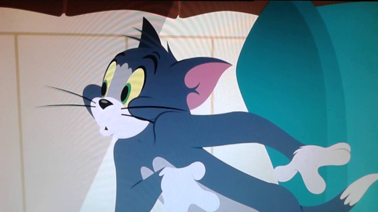 Undercover Cat I The Tom & Jerry Show I Comedy Kids - YouTube