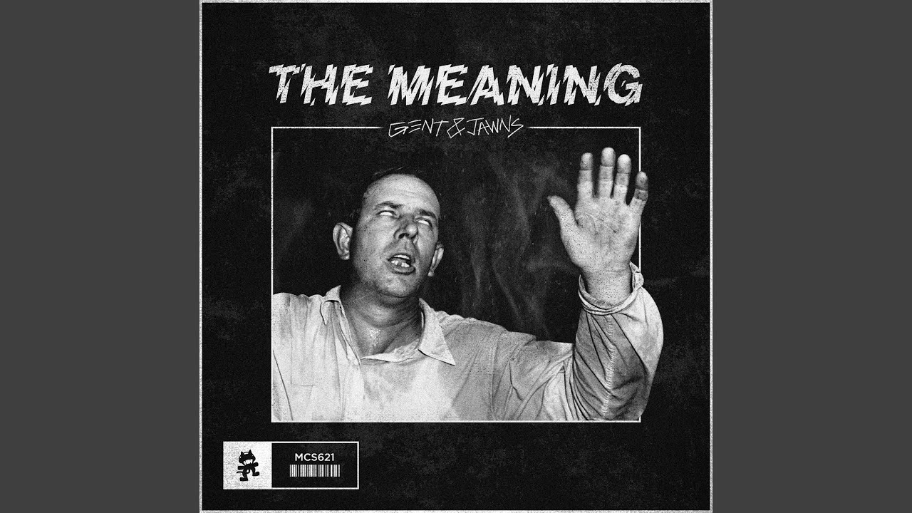 The Meaning YouTube the-meaning-youtube