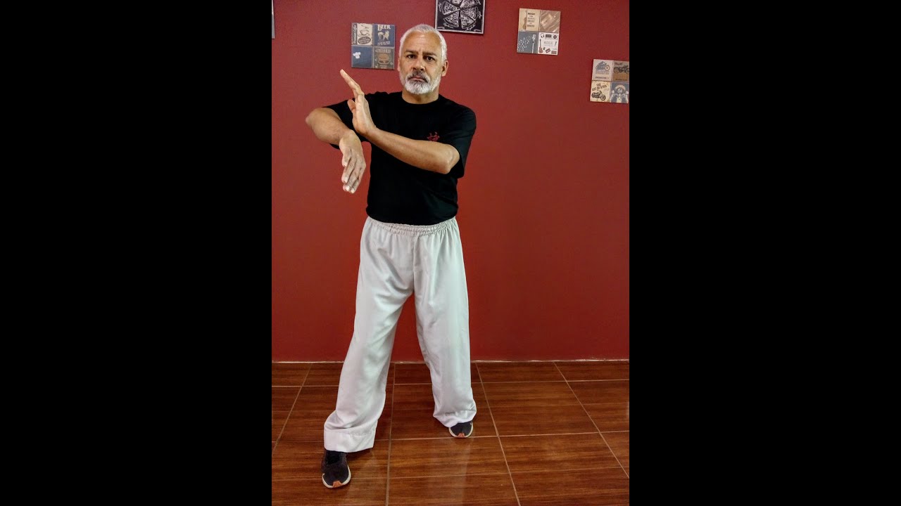 Aula de Wing Chun Lap Sao Baixo - YouTube