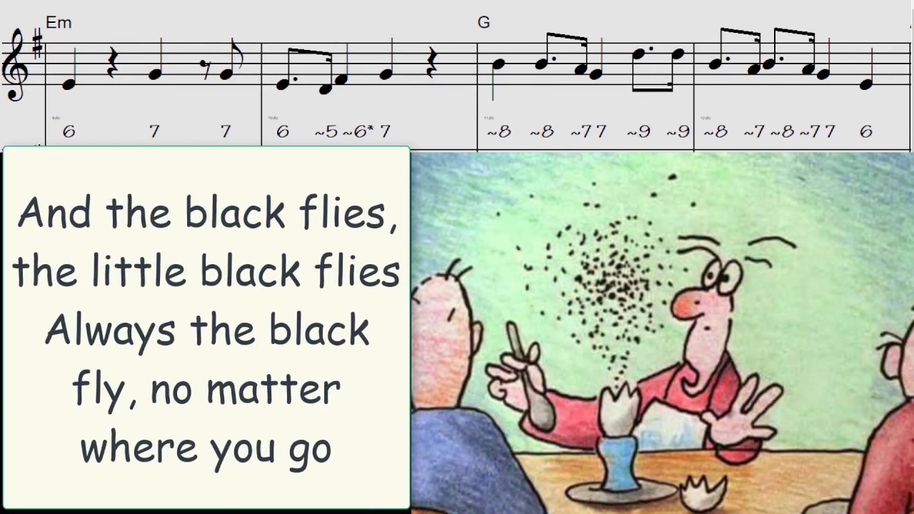 The Blackfly Song - YouTube