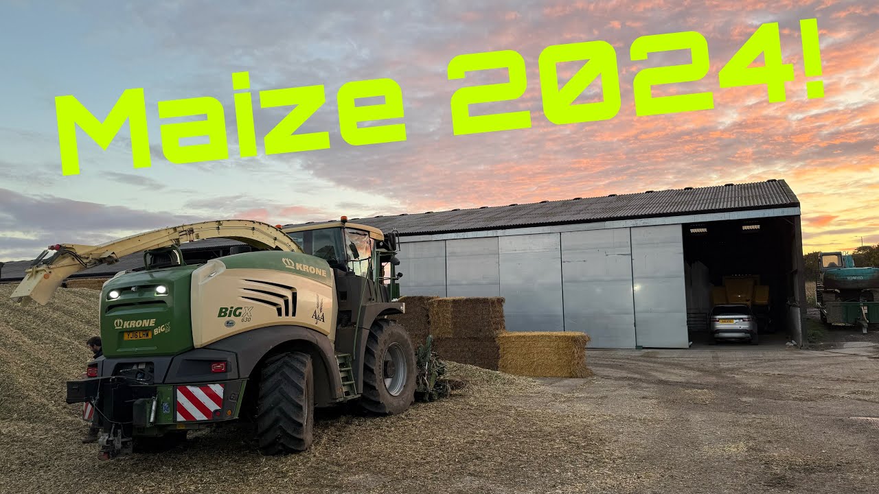 Samasz Saw in Action on Maize Harvest 2024! - YouTube