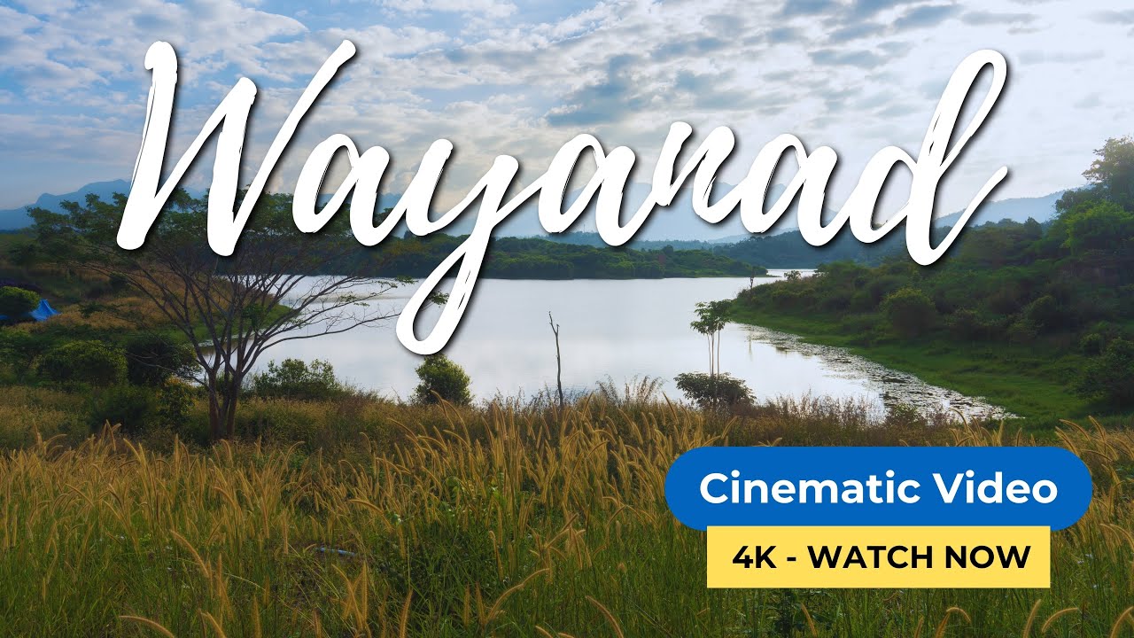 🌴 Wayanad: Kerala’s Hidden Paradise in 4K Cinematic Glory 🌄 - YouTube