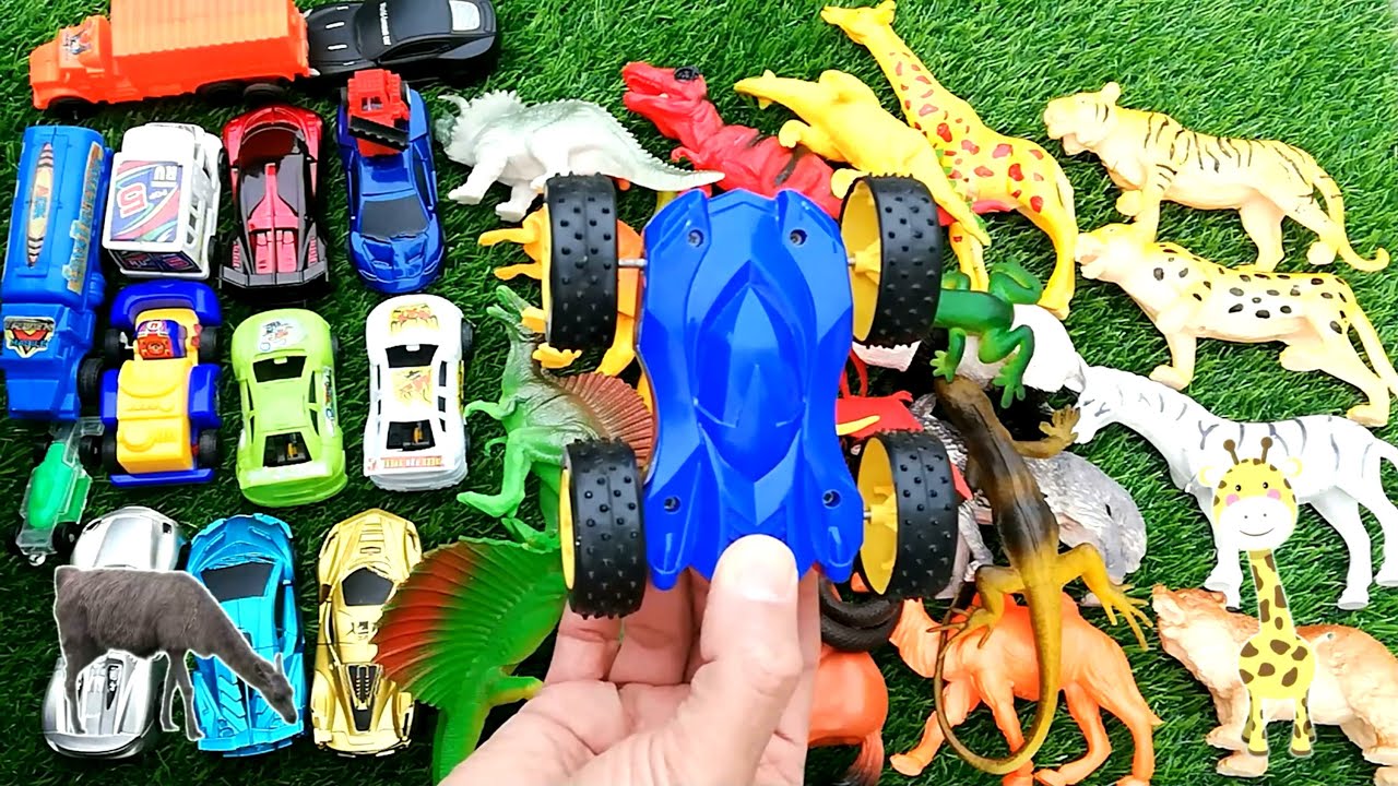 Wild Animal And Amazing Cars | Wild Animals Put On The Grass - YouTube