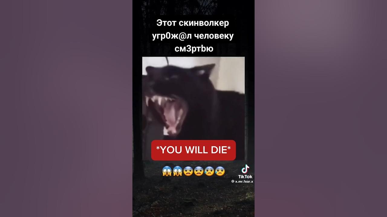 Скинволкер! - YouTube