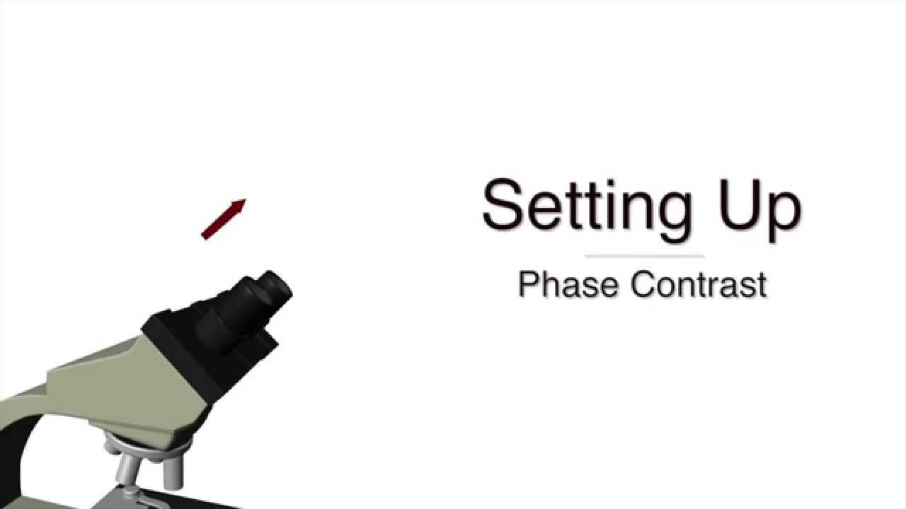 Setting up Phase Contrast - YouTube