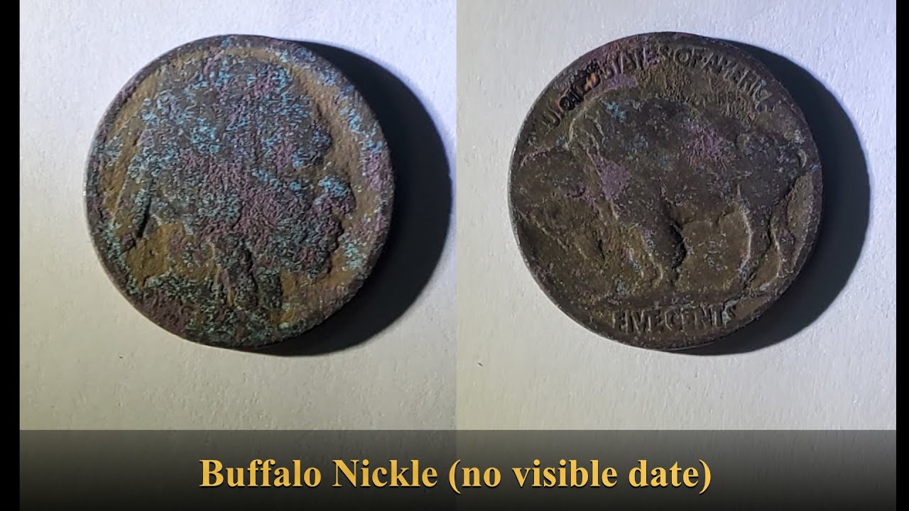 Episode 24. Metal Detecting with Nokta Makro Simplex. Buffalo for me ...