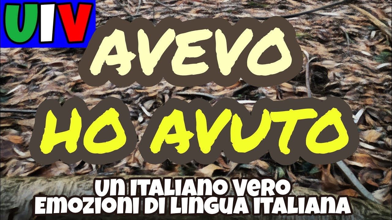 AVEVO oppure HO AVUTO? L'imperfetto (indicativo) e il passato prossimo ...