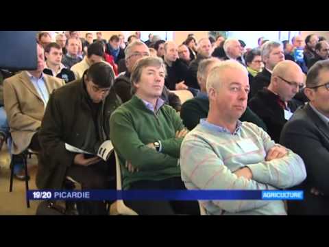 Kelly Kells JT 19/20 Fance 3 picardie 10/02/2015 - YouTube