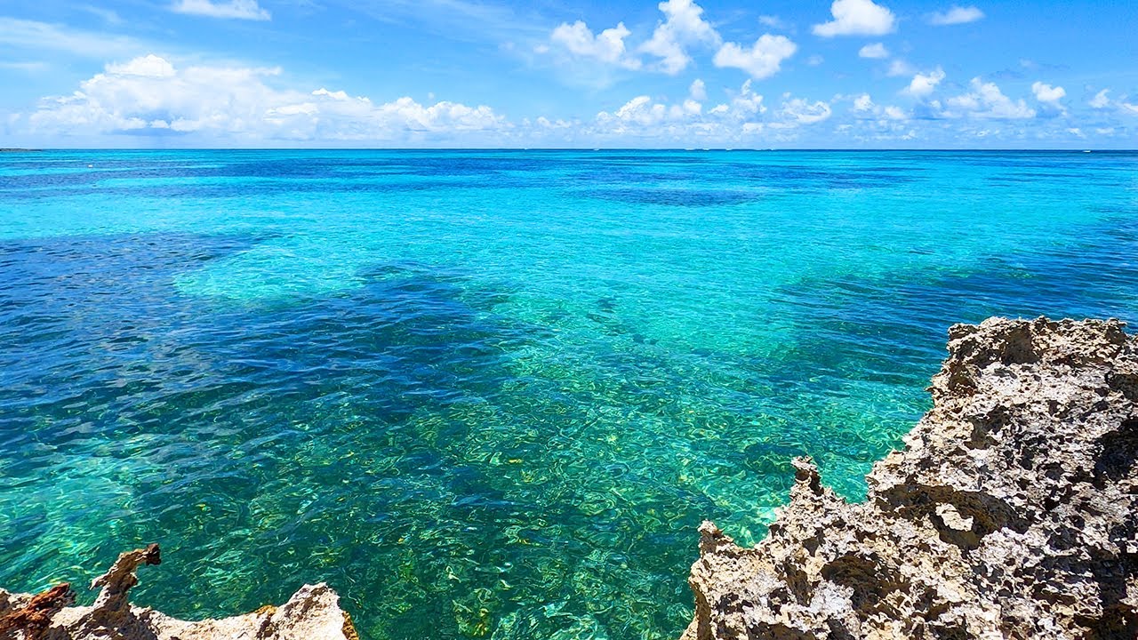 Liquid Bliss: 3 Hours of Blue Ocean & Calm Sounds For Relaxing - YouTube