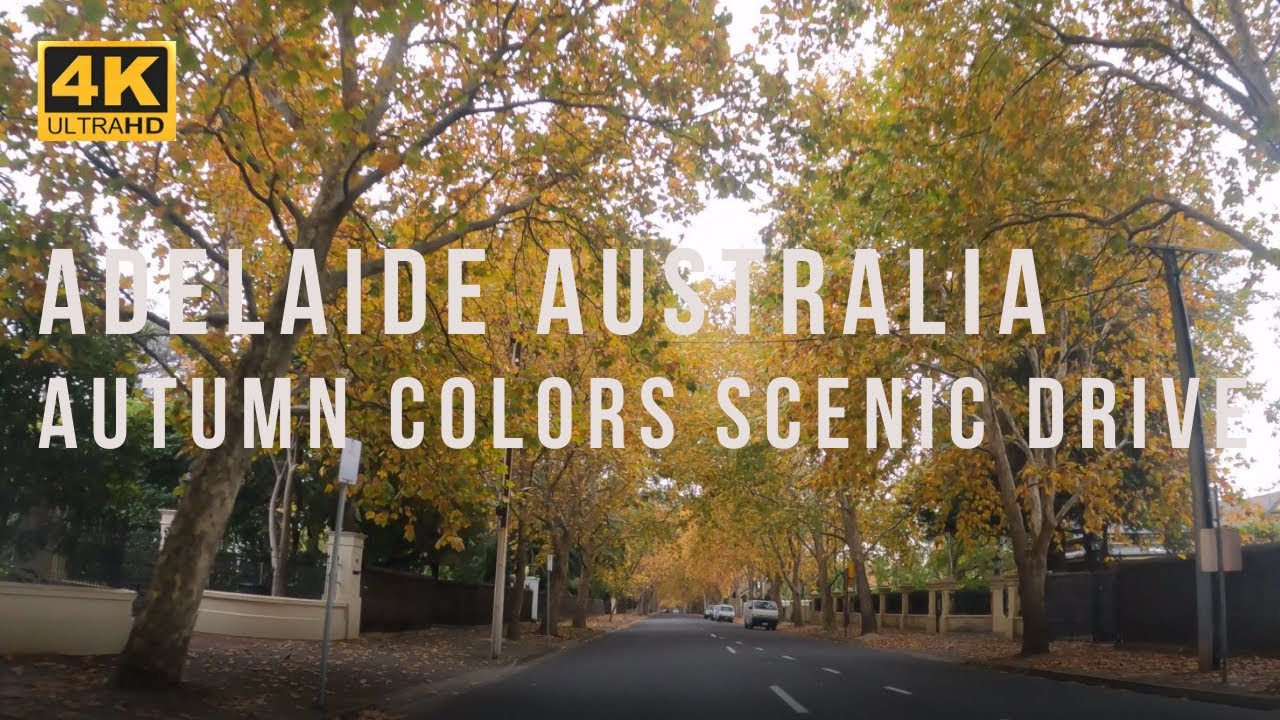 [4K] Autumn Colors Scenic Drive through along the Streets of Adelaide ...