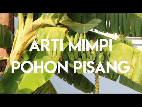 Arti Mimpi Pohon Pisang