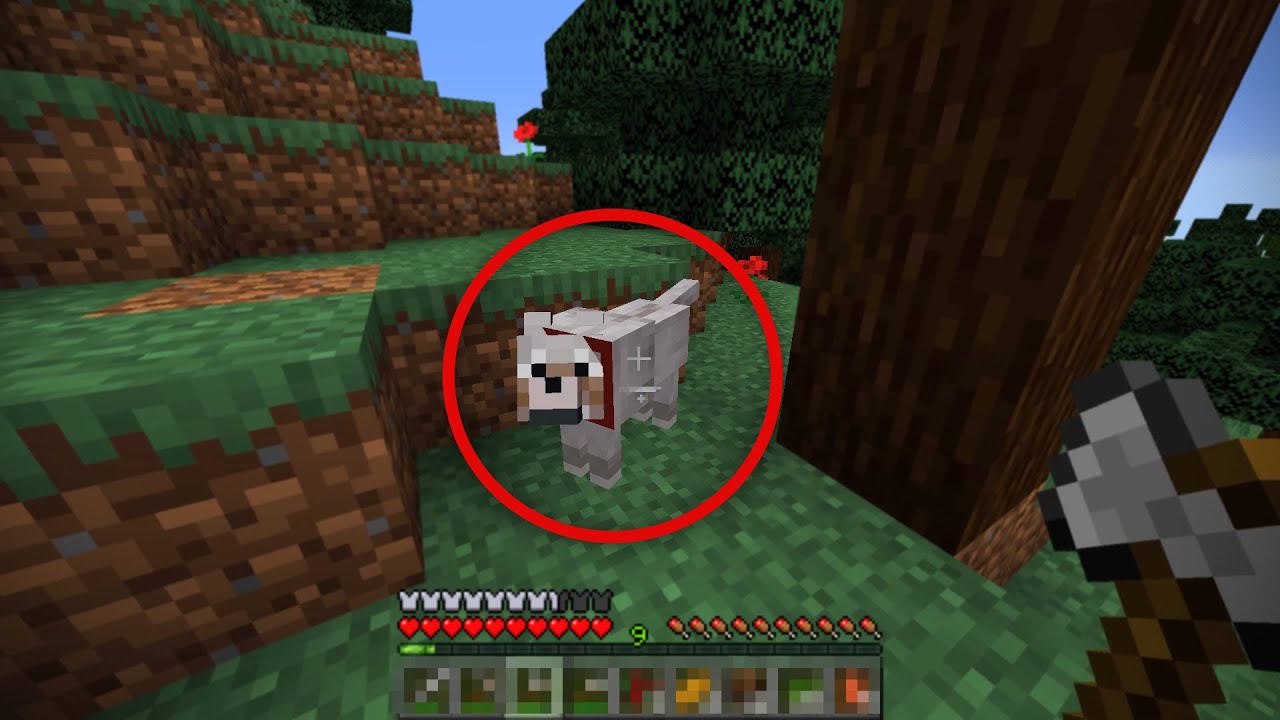 MINECREFF #1 - I FOUND EPIC DOGGO! [#1] - YouTube