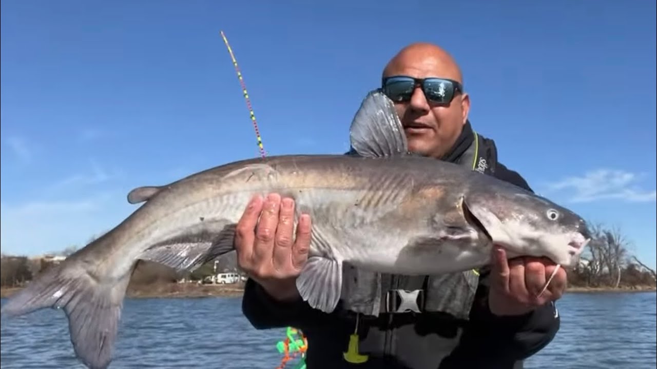 🔴 Chunky Cats Fishing: Let’s Go Back on the Boat! Come on Let’s Rock ...