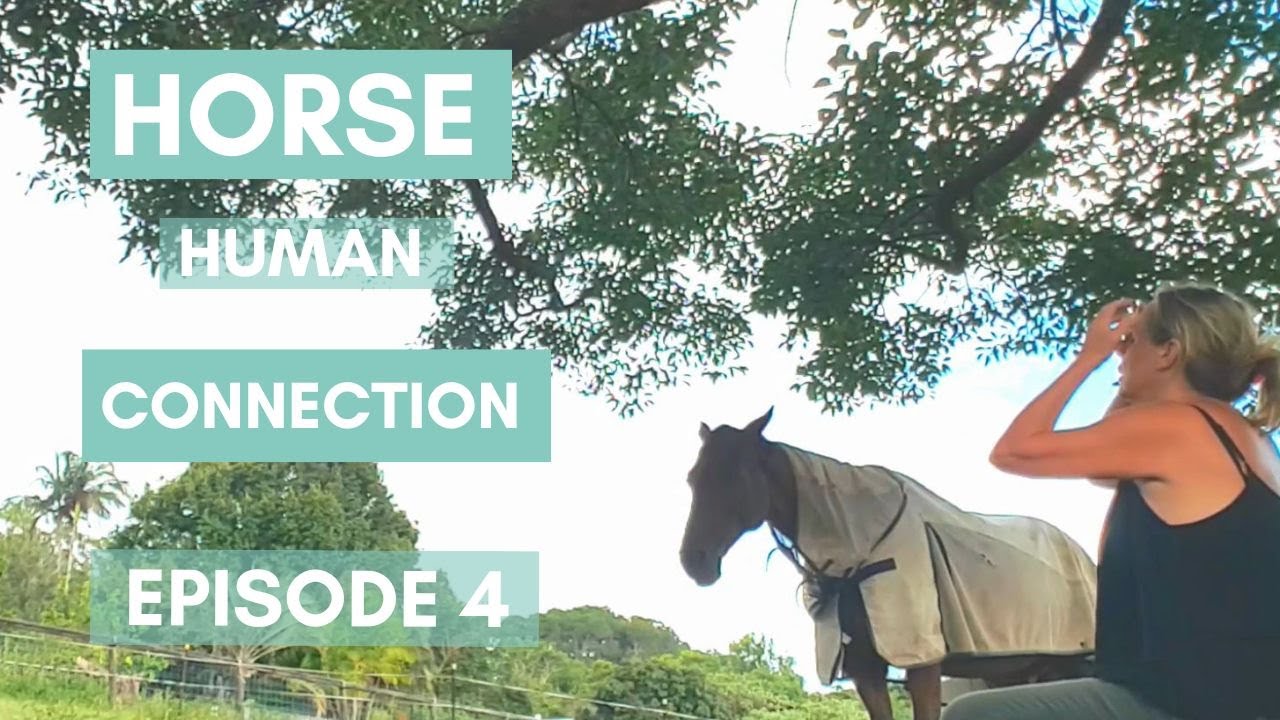 Horse Human Connection Ep4 - YouTube
