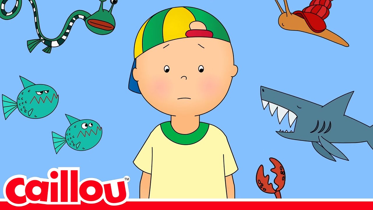 Was wird Caillou am Strand entdecken? | Caillou Deutsch - YouTube