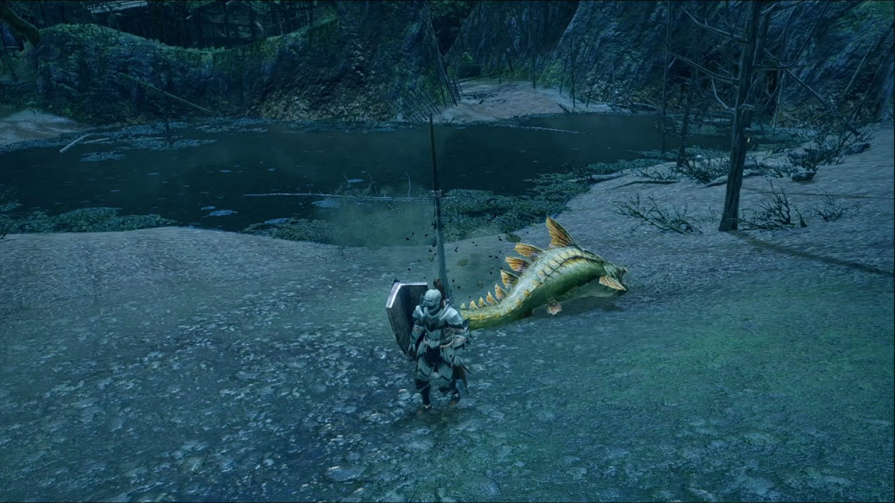 Monster Hunter Rise: Beached Gajau - YouTube