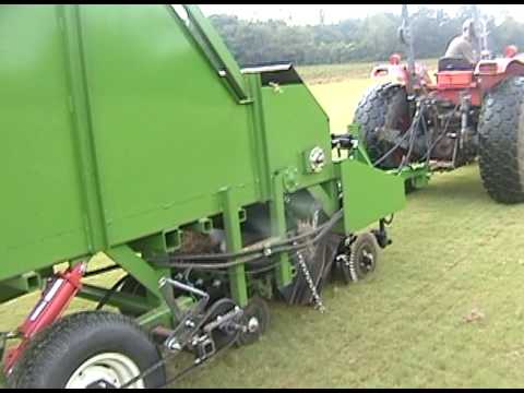 SPORTS TURF NO TILL SPRIGGER 8X6IN ROWS - YouTube
