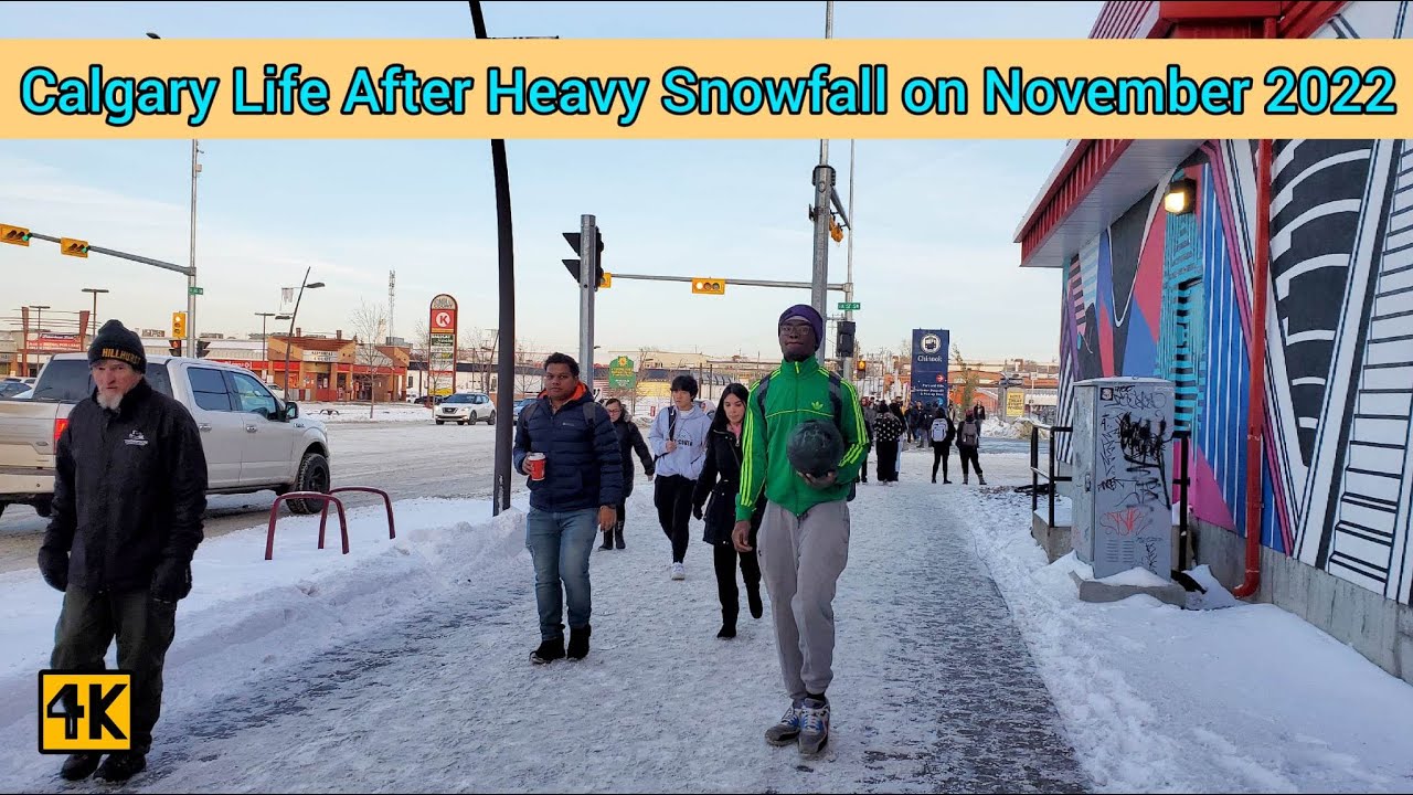 Calgary Life After Heavy Snowfall in Calgary Alberta Canada on November ...