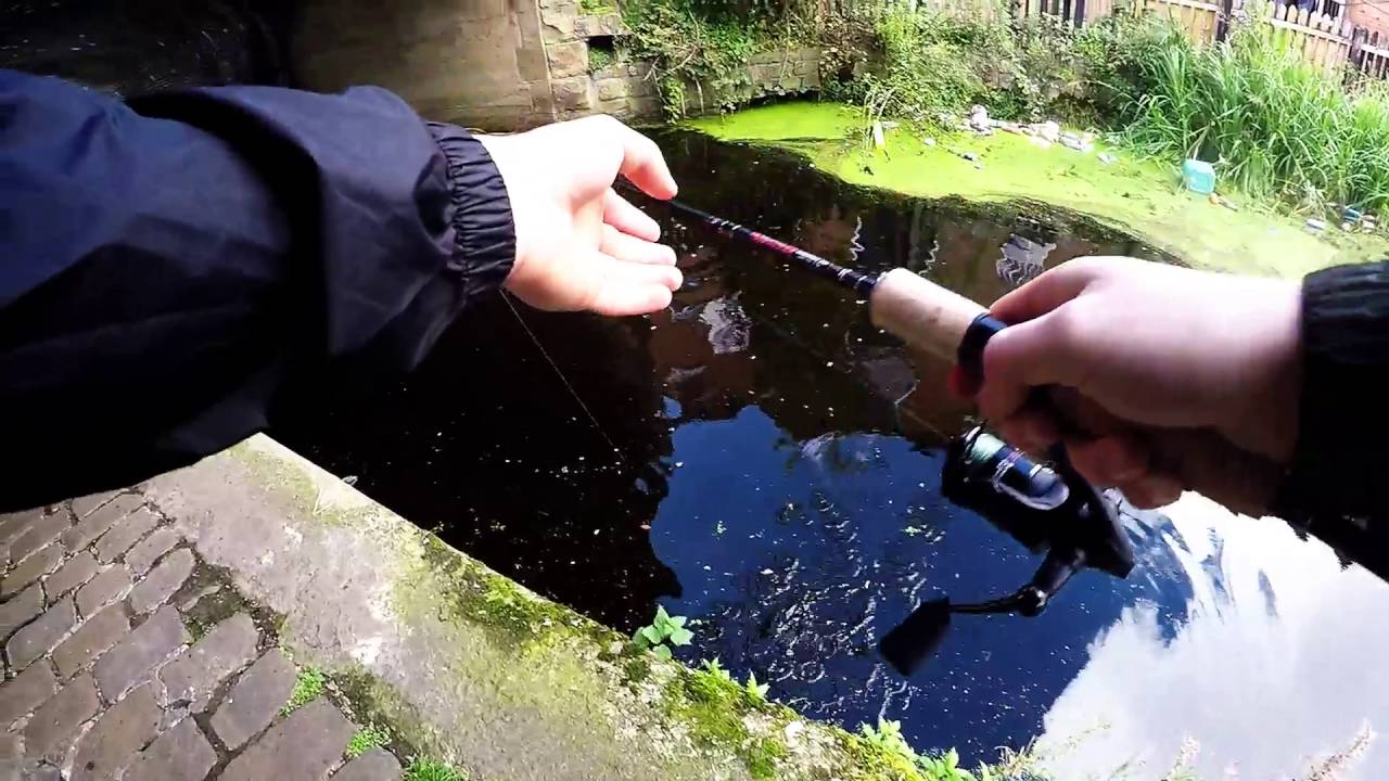 Fox rage micro fry - YouTube