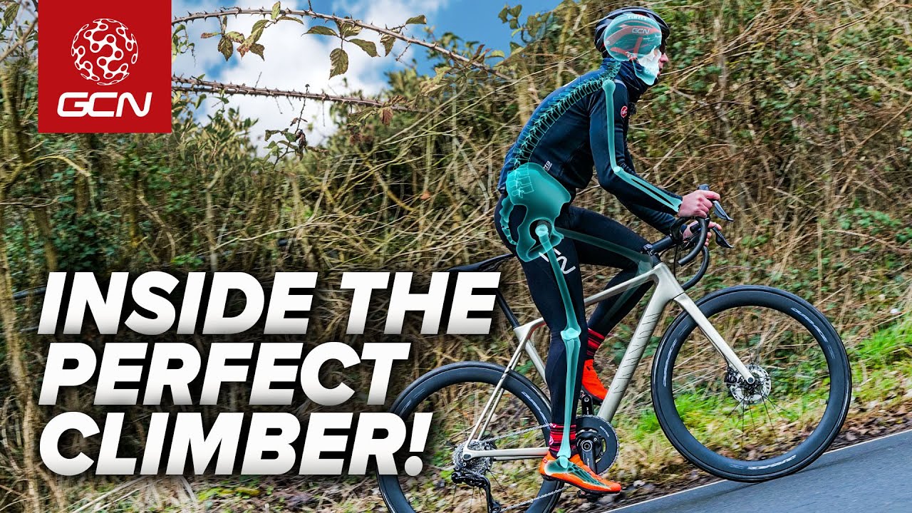 The Anatomy Of The Perfect Climber - YouTube
