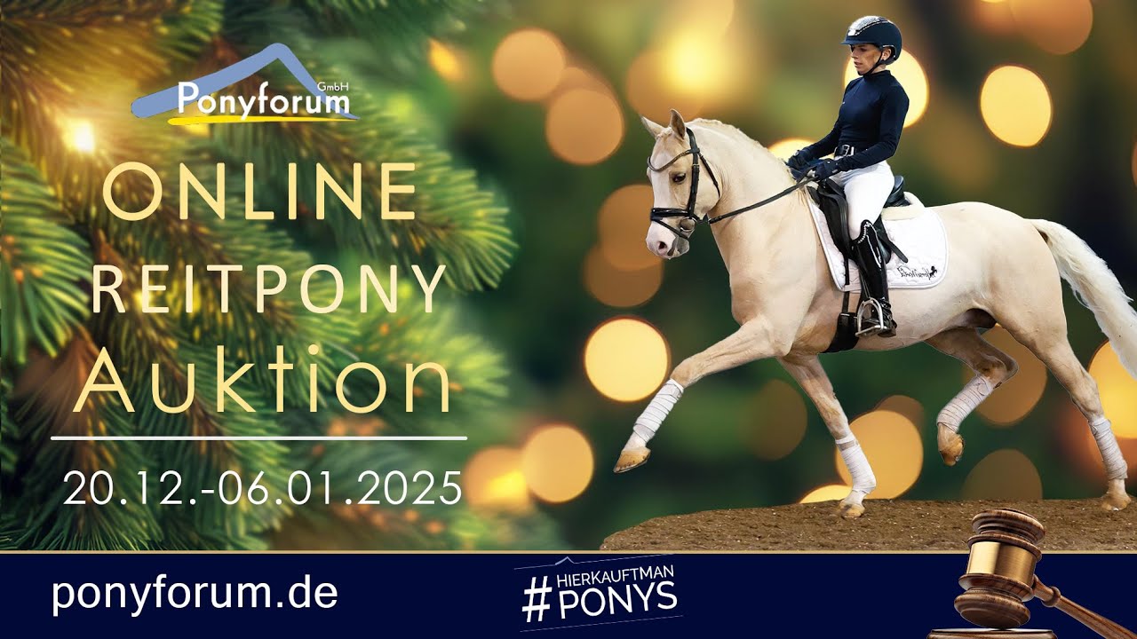 Don Pilgrim Wallach 2020 Kastanienhof Donnertrommler / - YouTube