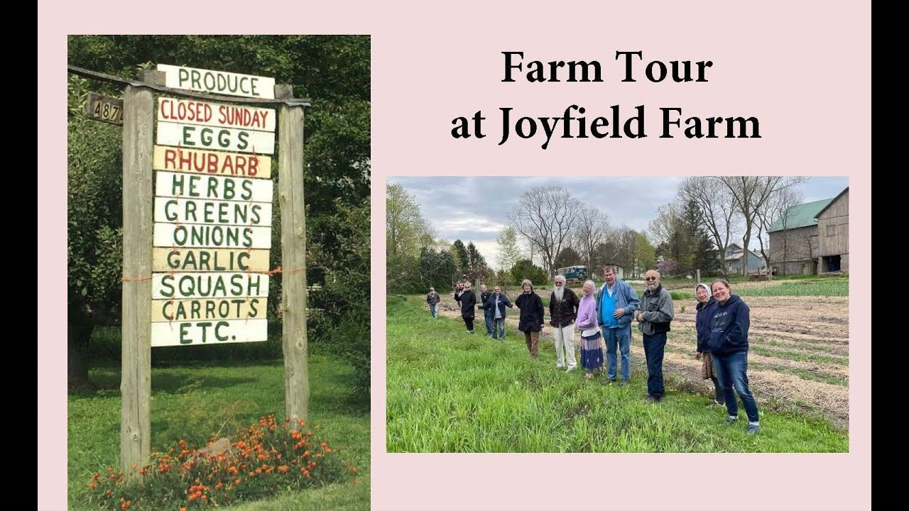 Joyfield Farm Tour (at War Tax Resistance Gathering) - YouTube