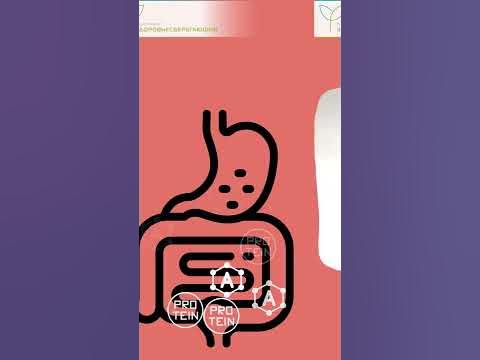 Как восполнить коллаген: желейные кубики для красивых волос, ногтей и ...