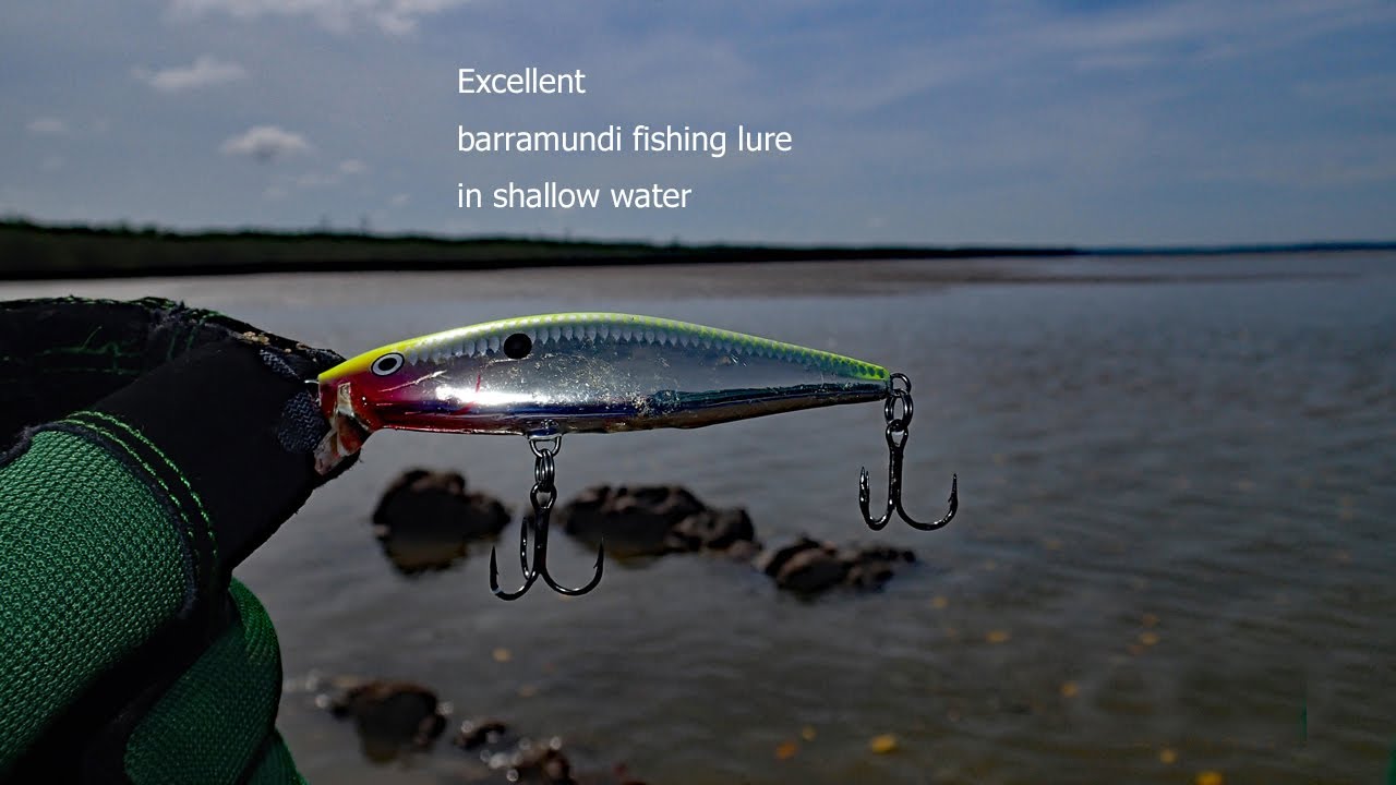 [Vol.150] Very Barramundi fishing lure in shallow water - YouTube