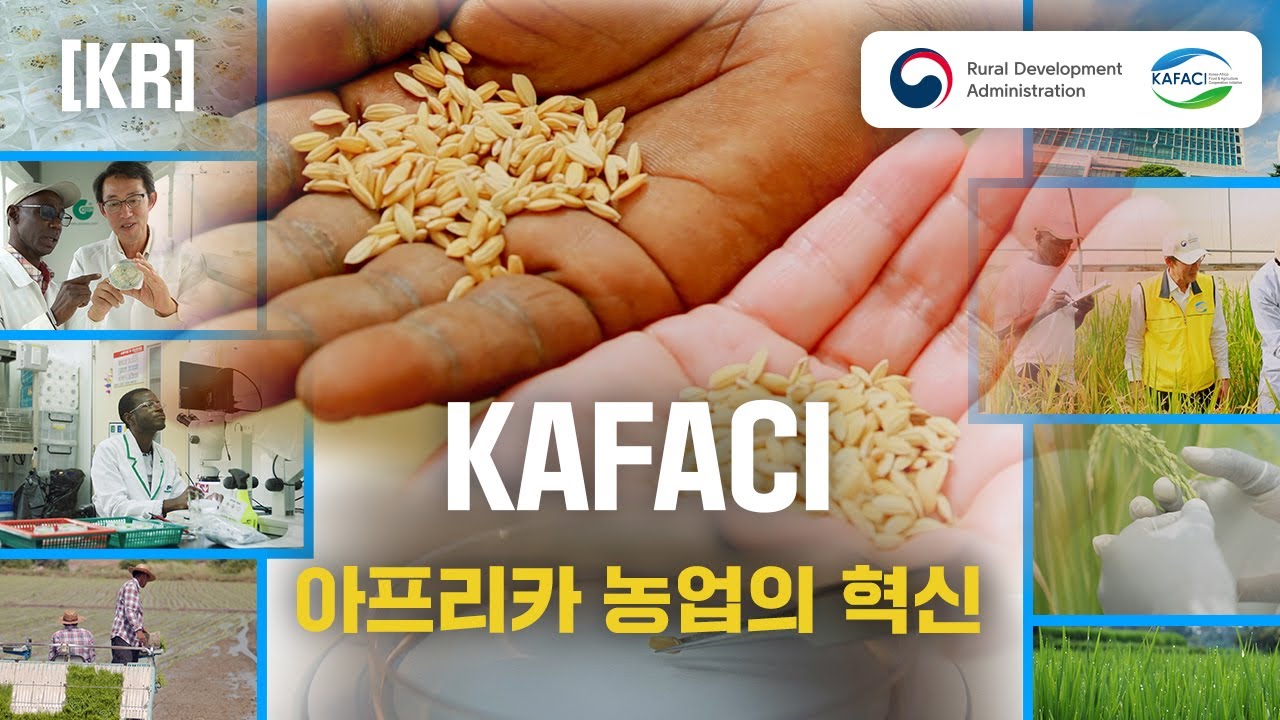 [KAFACI] 아프리카 농업의 혁신 | KOREAN [KR] - YouTube