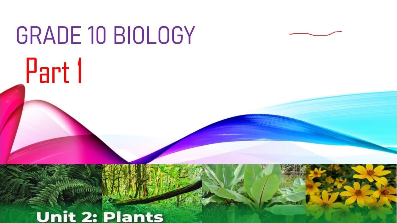 Grade 10 Biology New Text Book Unit 2 Part 1 YouTube grade-10-biology-new-text-book-unit-2-part-1-youtube