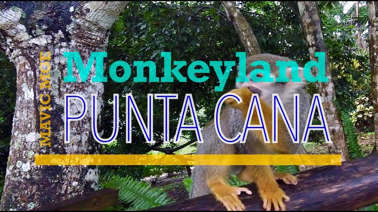Monkeyland | Punta Cana | Dominican Republic - YouTube