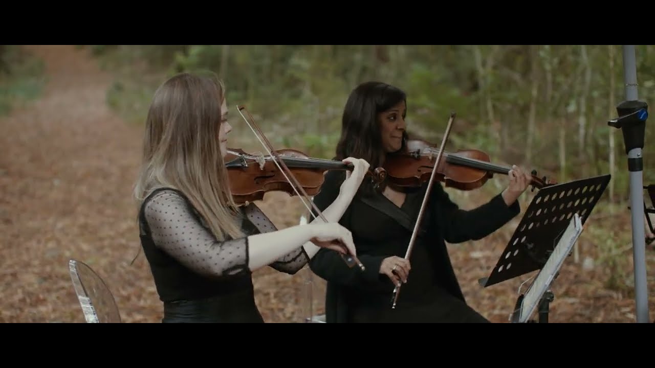 Wellington Wedding with Vivid Strings Quartet - YouTube
