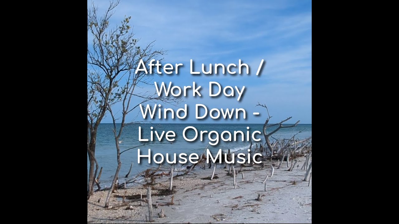 After Lunch / Work Day Wind Down - Live Organic House Music Presented ...