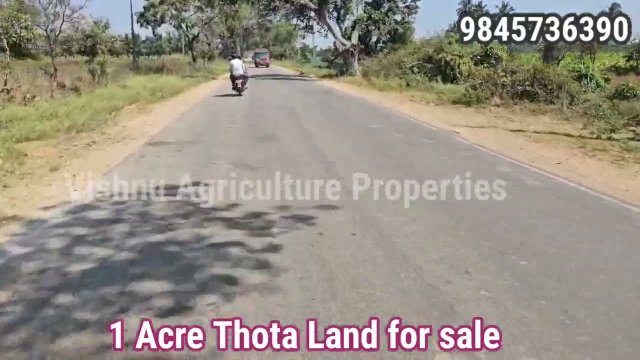 1 Acre thota farm land for sale 🌴🌴🌴 70 coconut 10 Teak 1 Bore own TC 41 ...