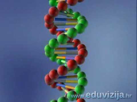 Molekula Dna Molekula DNA S Prvky Stock Vektor Od ©Seamartini