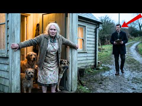 They Forced a 75-Year-Old Woman to Close Her Dog Shelter—But Then a Mysterious Visitor Arrived!