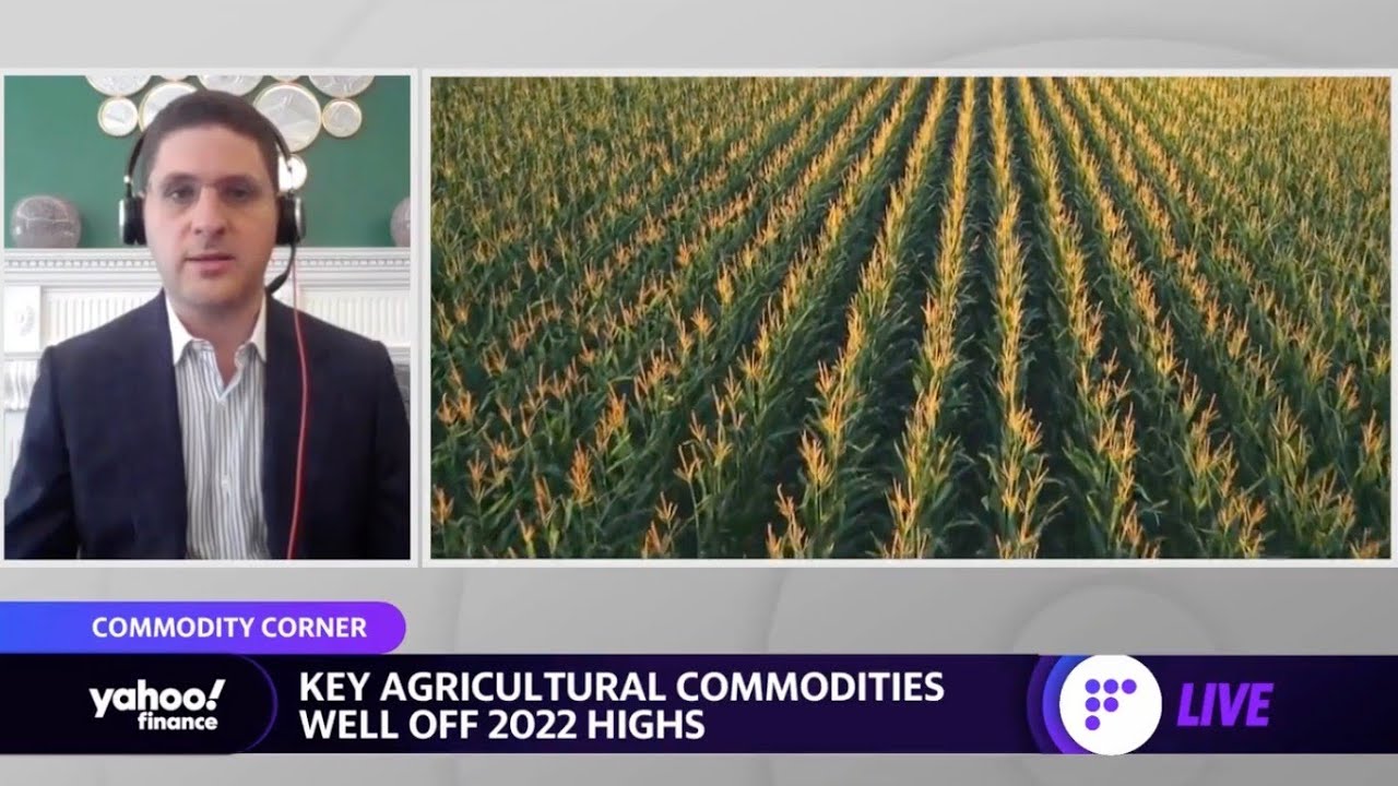 Soft commodities are ‘pulling back’ on recession fears, commodities analyst says - YouTube