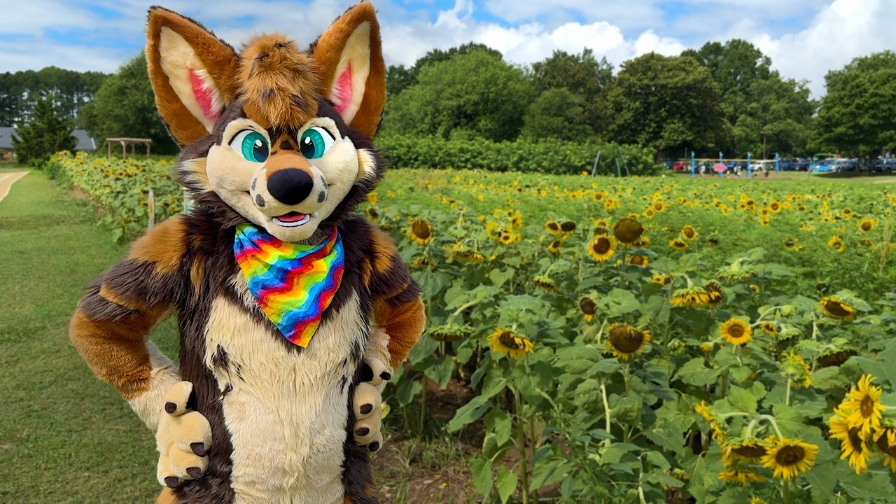 Furry Photoshoot • 7.13.24 - YouTube