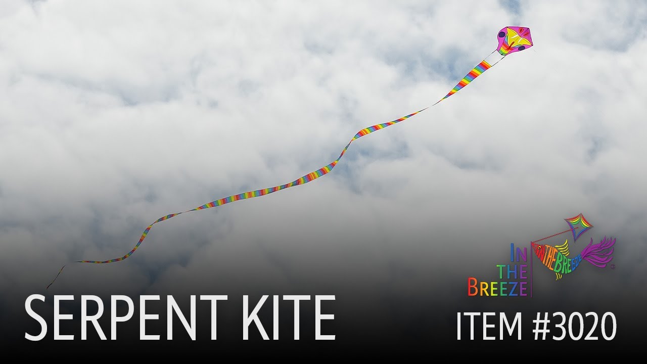 Serpent Kite | Wholesale Kites | In the Breeze - YouTube