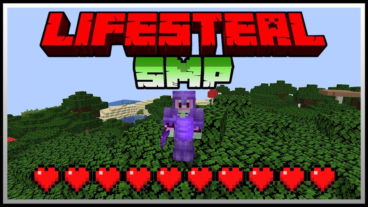 I Made a LIFESTEAL SMP Server! - YouTube