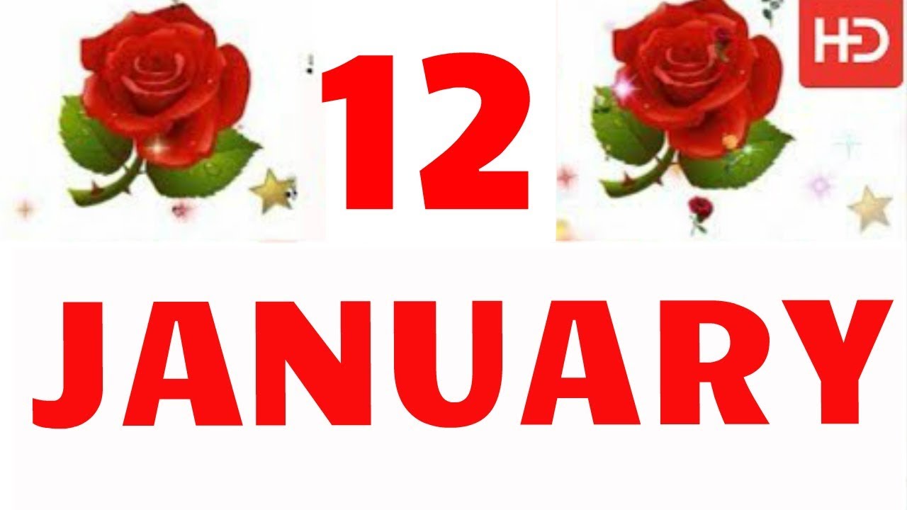 12 january Special New Birthday Status Video , happy birthday wishes ...