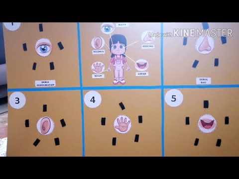 Contoh Abm Yang Menarik - OsvaldoqoParks