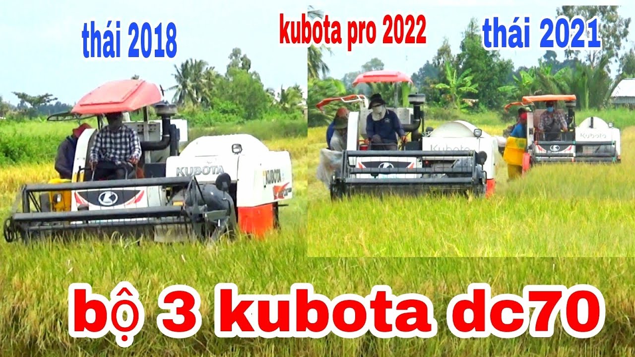 XEM BỘ 3 MÁY CẮT LÚA KUBOTA DC70 PRO DC70G PLUS+ CHẠY ĐẤT VUÔNG TÔM ...
