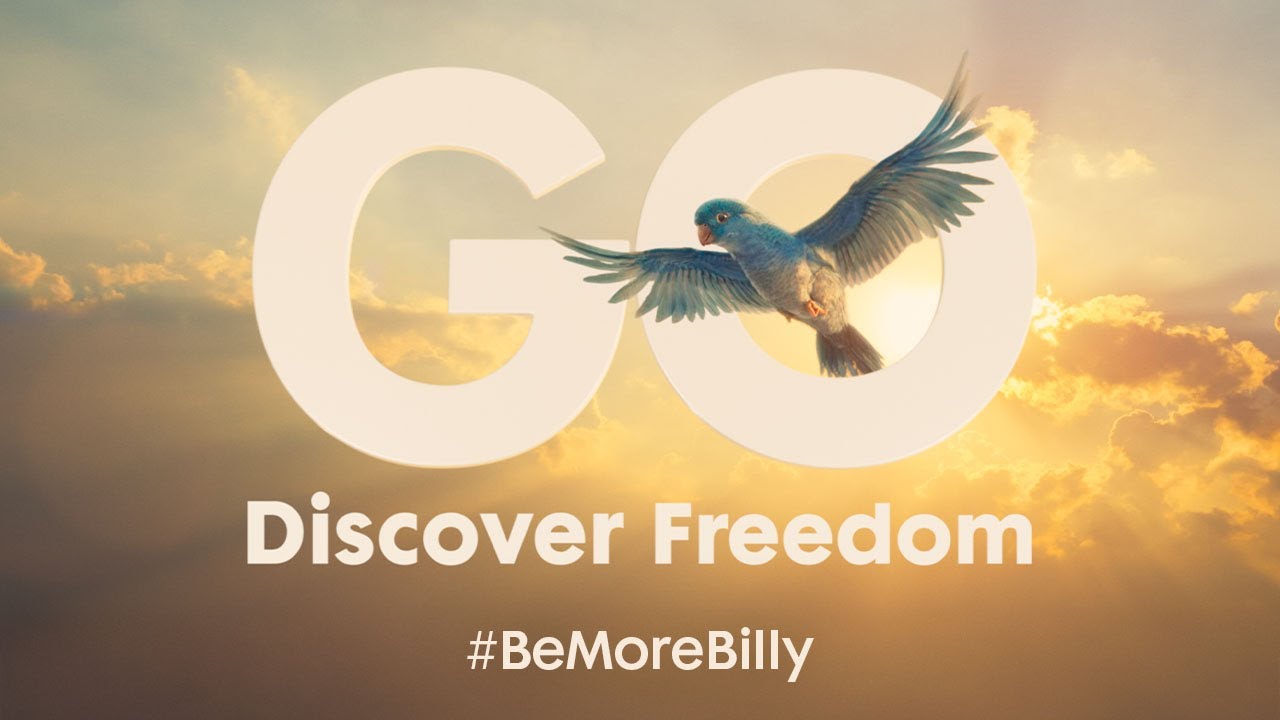 Meet Billy | GO Outdoors TV Advert - YouTube